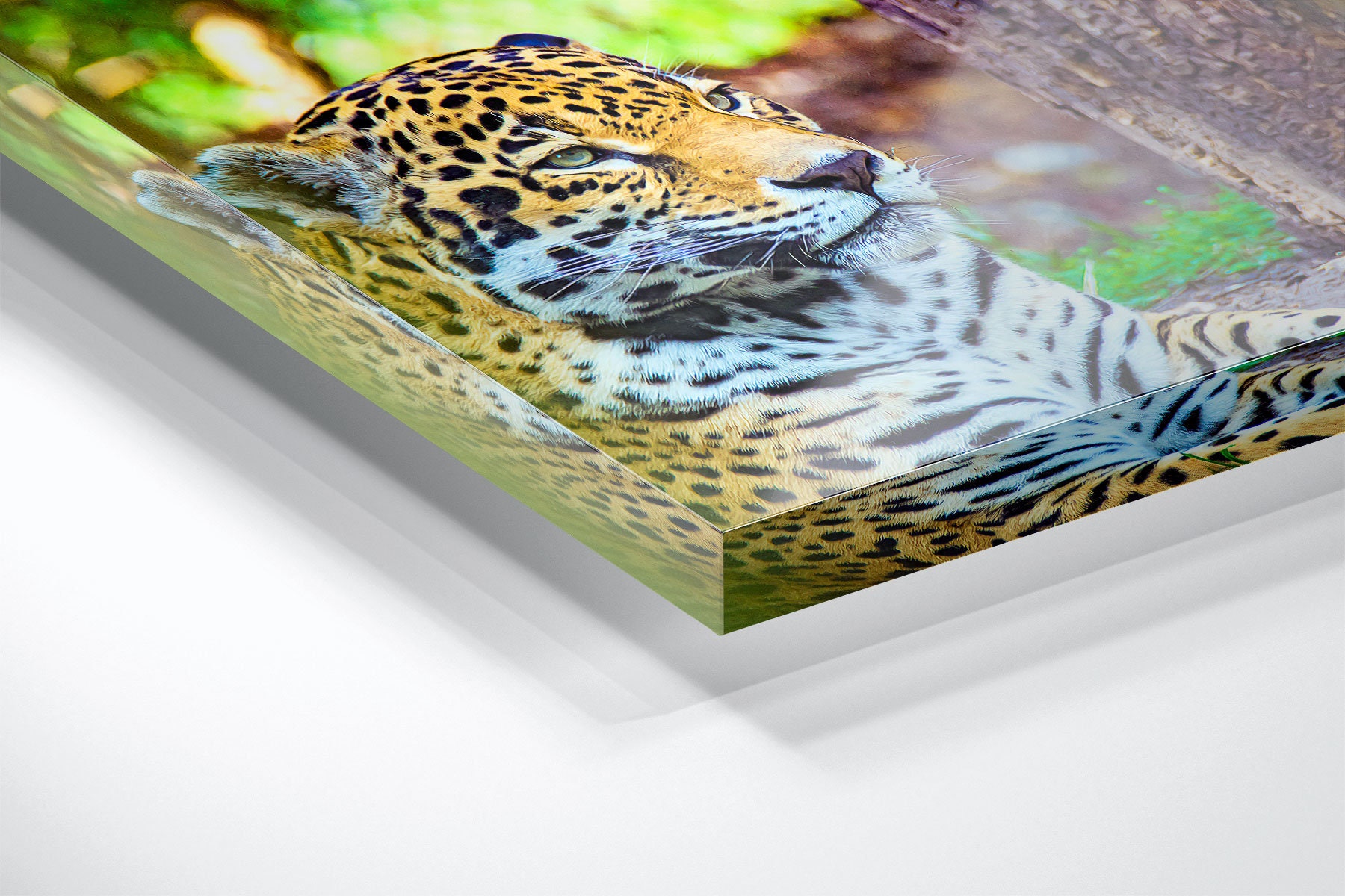 Silent Tiger-wall Art Glass Printingmodern Home Decor Ideas - Etsy