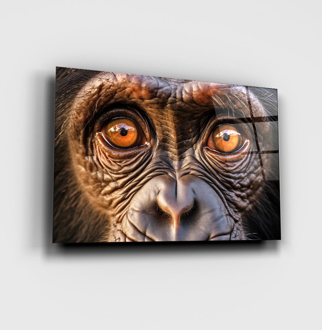 Starry Monkey: Glass Print Wall Art - Whimsical Constellations Adorn ...