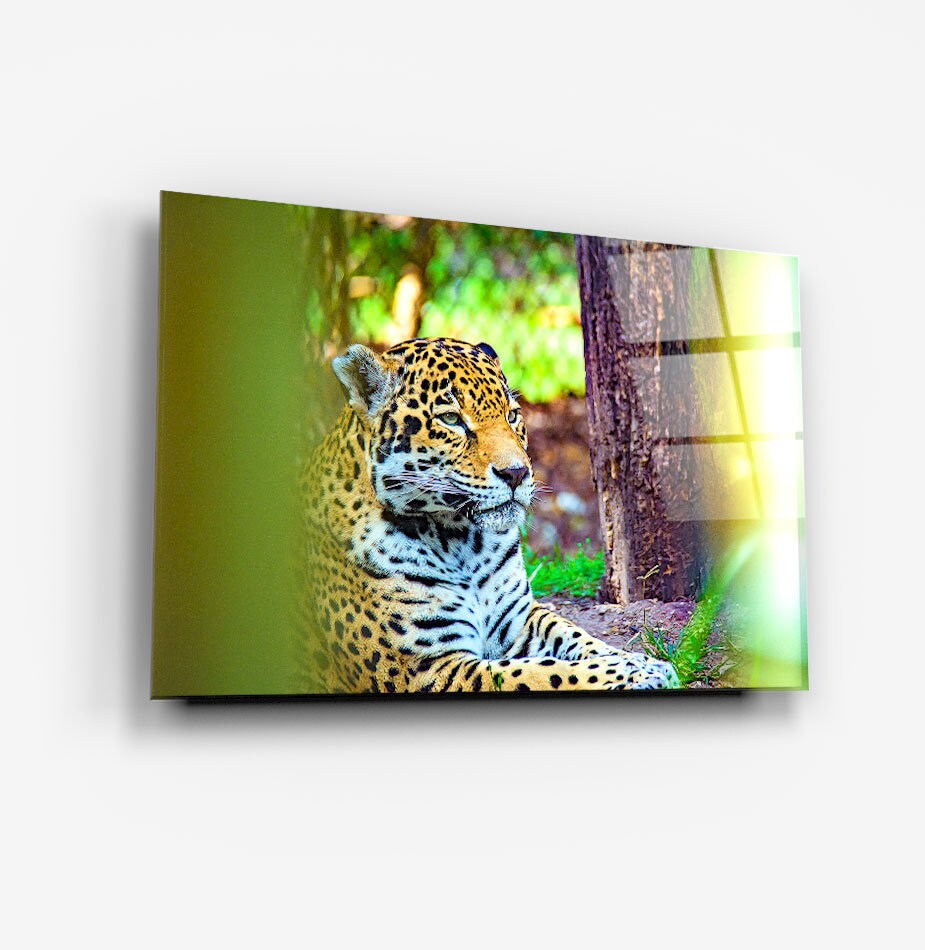 Silent Tiger-wall Art Glass Printingmodern Home Decor Ideas - Etsy