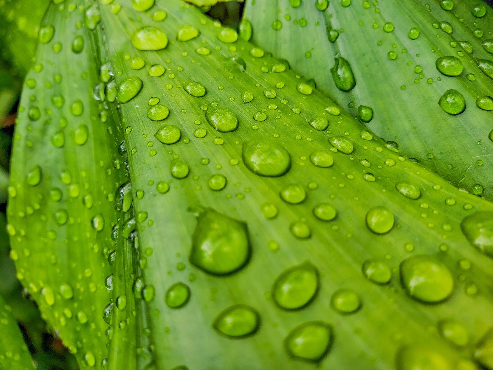 Rain Drops-wall Art Glass Printing-modern Home Decor Ideas Art - Etsy