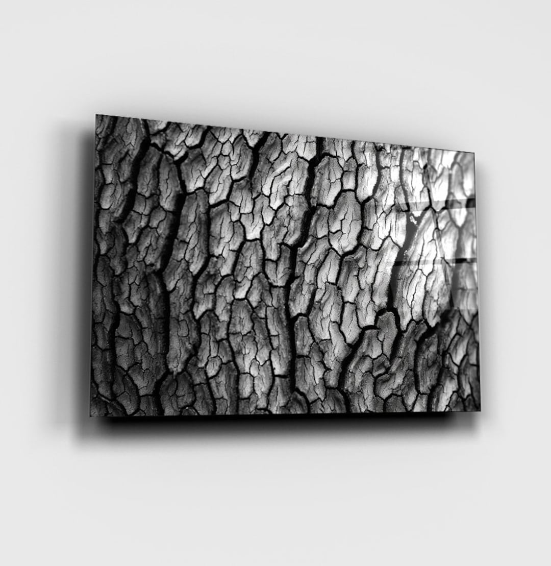Realistic Tree Bark: Glass Print Wall Art - Natural Beauty Captured in ...