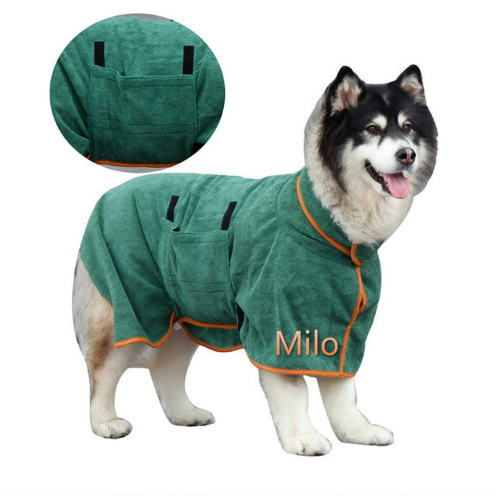 29 Products For Trendy Dogs