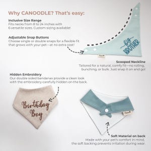 Personalized Dog Bandana Birthday Girl Bandanna for 1st Birthday ...