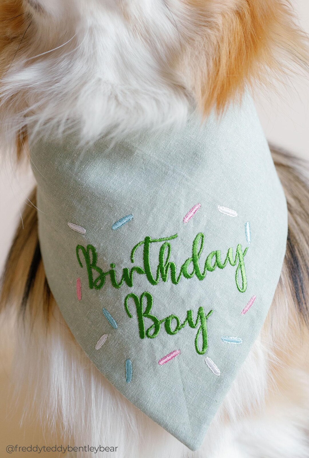 Birthday Boy Dog Bandana for 1st Birthday Embroidered Dog Birthday ...