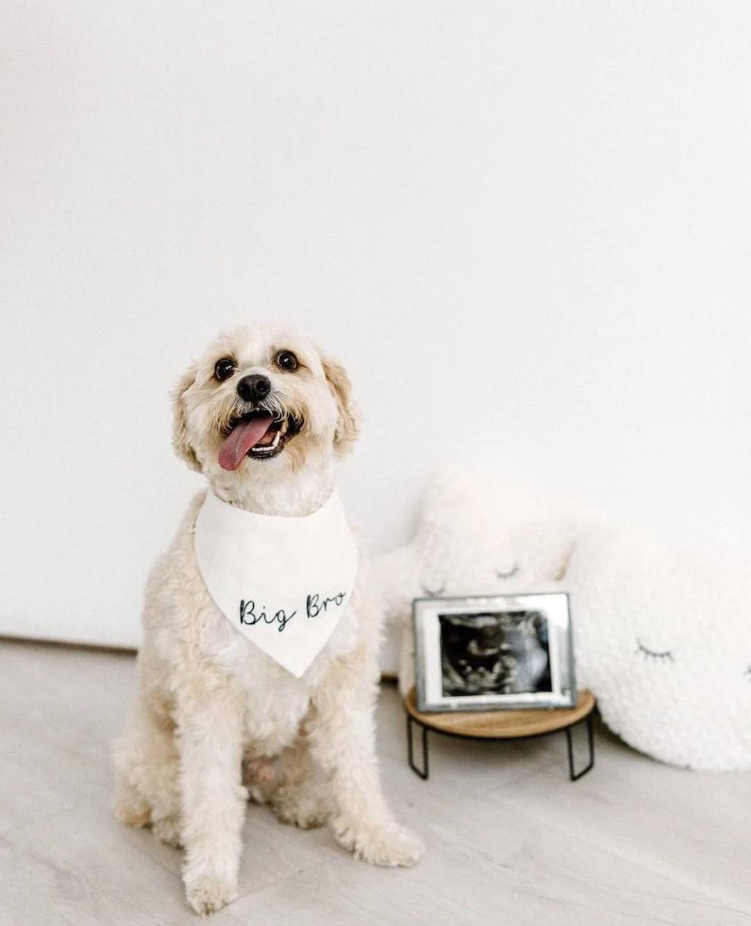 Big Bro Custom Pregnancy Announcement Dog Bandana With Snap Cursive ...