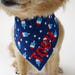 Personalized Dog Bandana Birthday Girl Bandanna for 1st Birthday ...