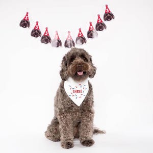 Personalized Dog Bandana Birthday Girl Bandanna for 1st Birthday ...