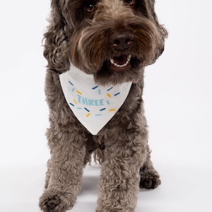 Personalized Dog Bandana Birthday Girl Bandanna for 1st Birthday ...