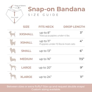 Personalized Dog Bandana Birthday Girl Bandanna for 1st Birthday ...