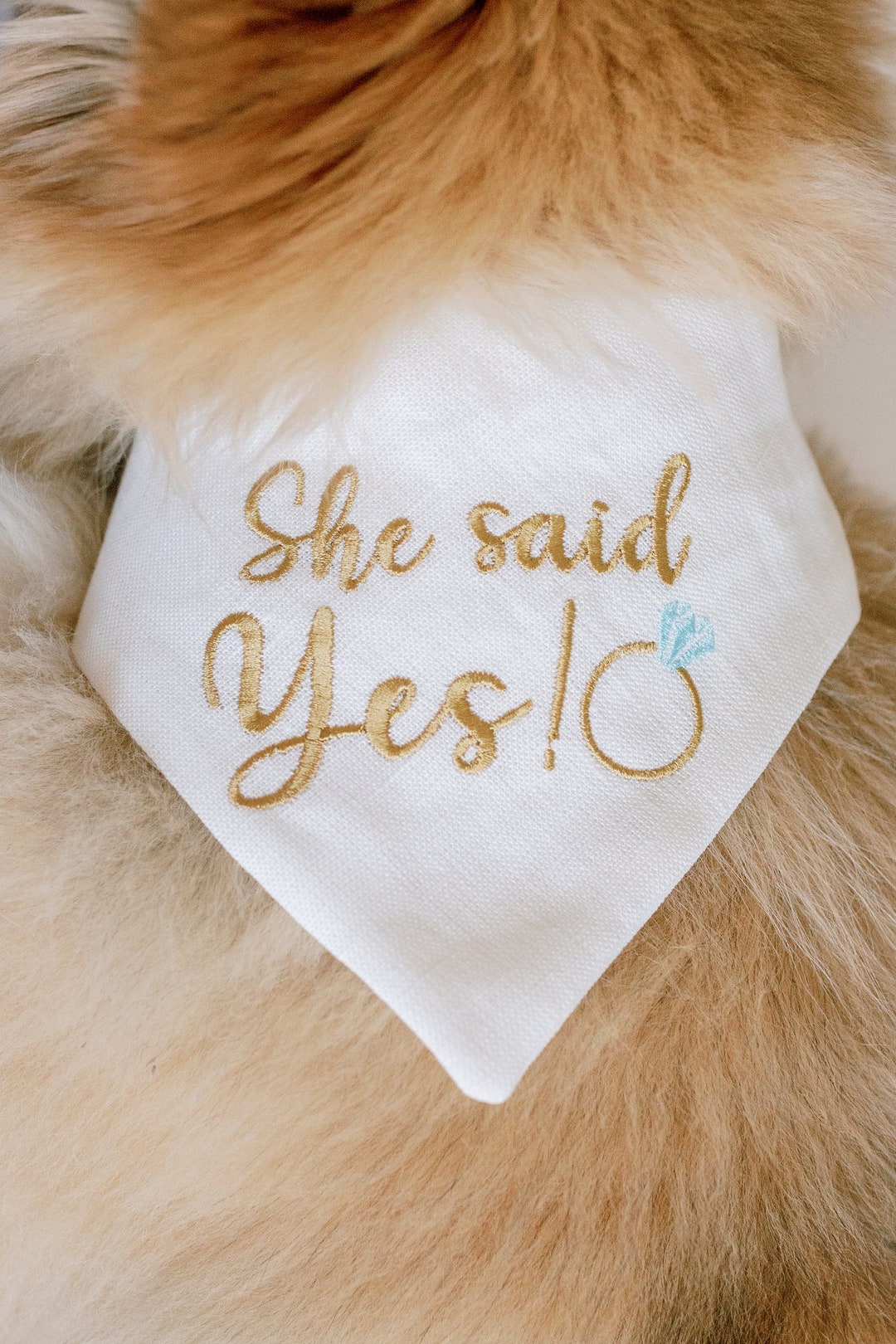 She Said Yes Wedding Dog Bandana Engagement Dog Bandana Snap on Bandana ...