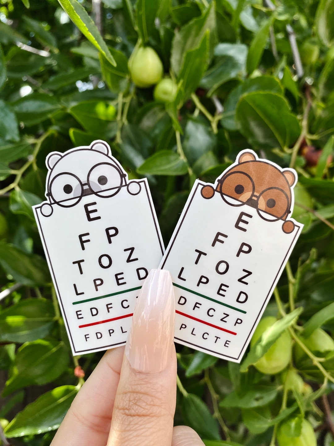 Bear Eye Chart Sticker | Snellen Visual Acuity Optometry Sticker Decals ...