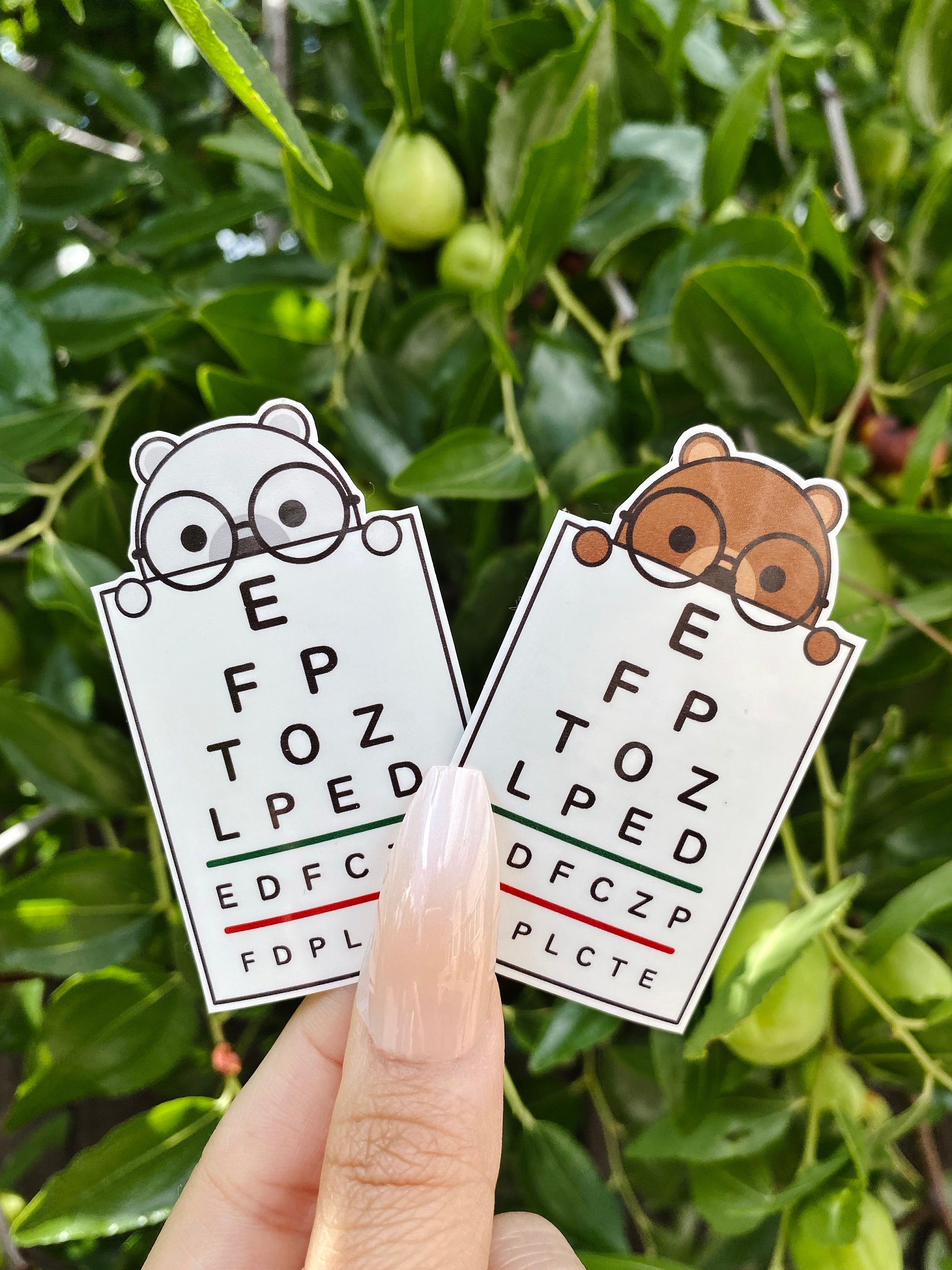 Bear Eye Chart Sticker Snellen Visual Acuity Optometry - Etsy