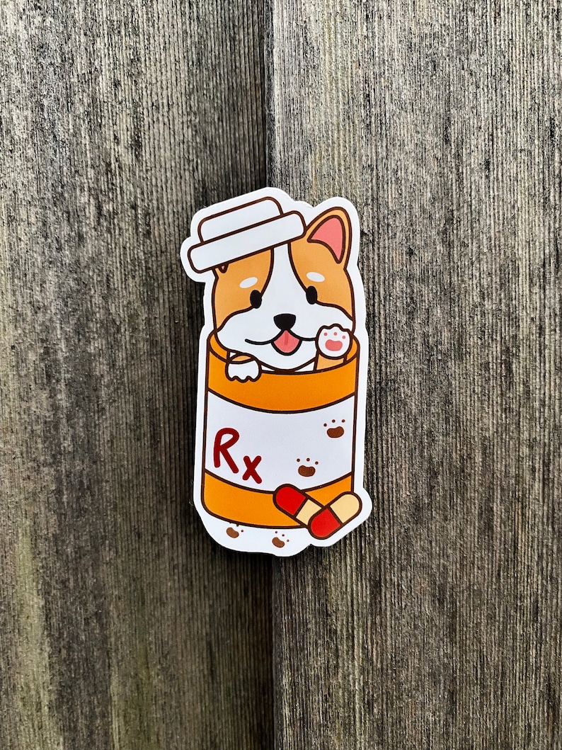 Pharmacy Stickers Dogs & Cats Pill Bottle Pharmacy Animals | Etsy