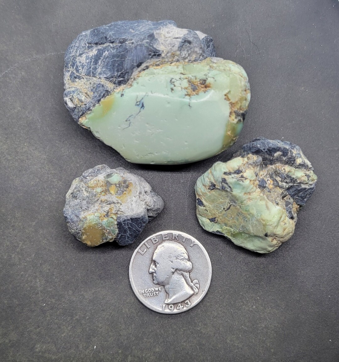 Frog Blossom Variscite/turquoise Rough for Cabbing Nevada Variscite 100 ...