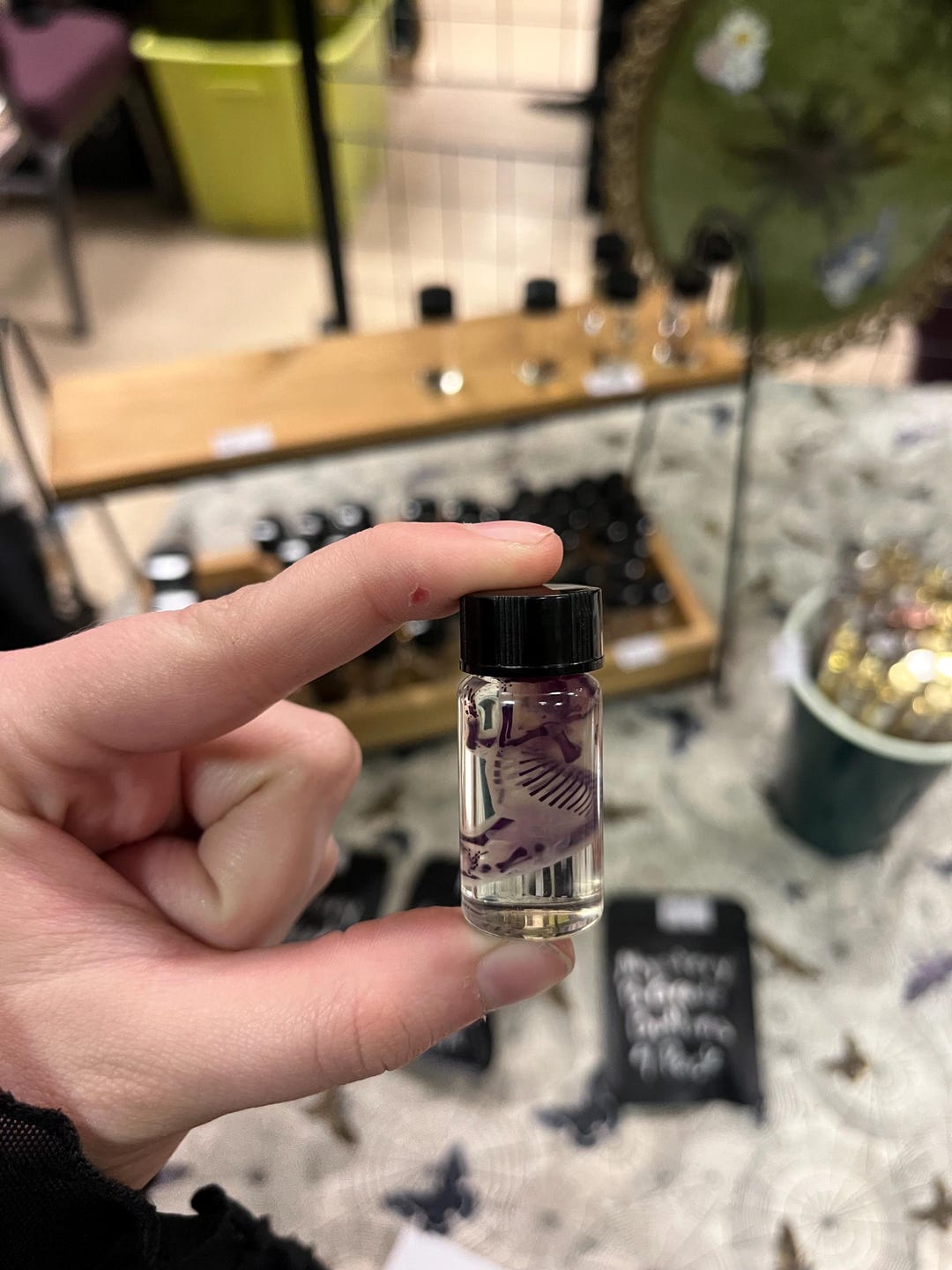 Diaphonized Mouse Specimen, Oddity, Taxidermy, Wet Specimen - Etsy