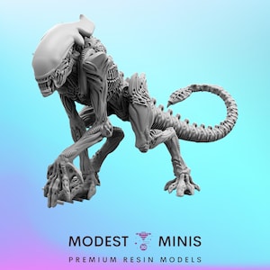 6pc Cheetah Aliens Set - Resin 3D Print Alien Miniature | RPG | Sci Fi ...