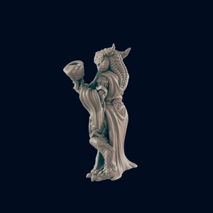 NPC Dragonborn Female Noble - 3D Print Resin Scale Dnd Miniature ...