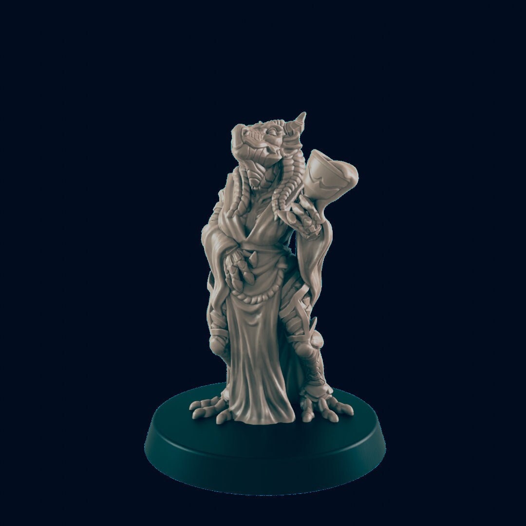NPC Dragonborn Female Noble - 3D Print Resin Scale Dnd Miniature ...