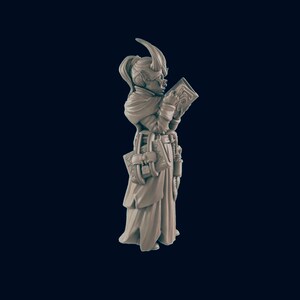 NPC Demonkin Female Scholar Teacher - 3D Print Resin Scale Dnd ...