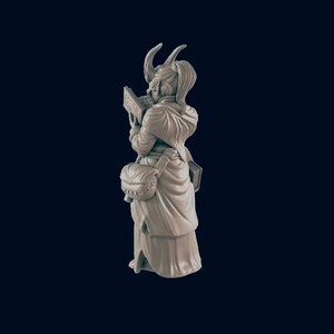 NPC Demonkin Female Scholar Teacher - 3D Print Resin Scale Dnd ...