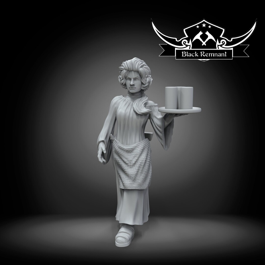 The Waitress Legion Scale RPG Scifi Role Playing Dnd - Etsy