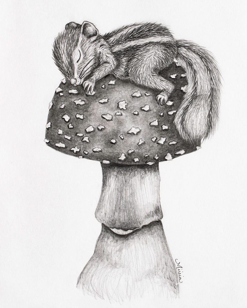 Woodland Nap ~ A Cute Chipmunk Sleeping on a Forest Mushroom ...