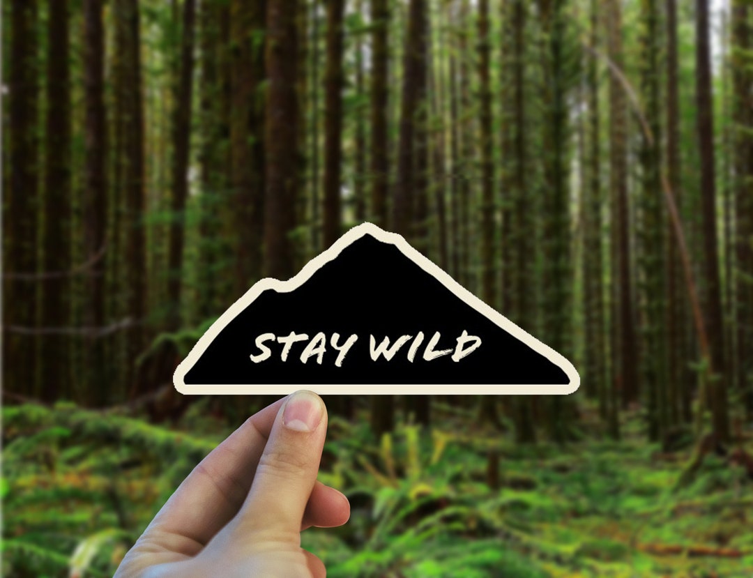 Stay Wild Vinyl Decal - Weatherproof Bumper Sticker - 70s Retro Sticker ...