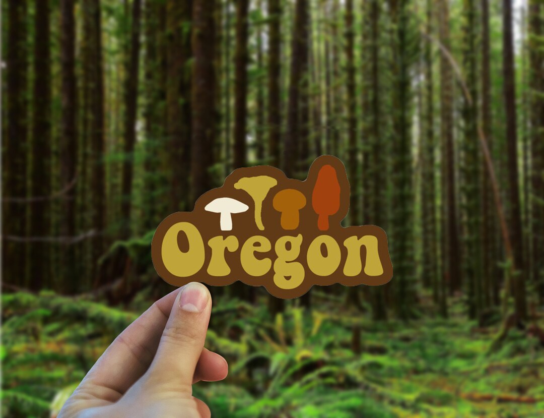 Oregon Retro Vinyl Decal - Weatherproof Bumper Sticker - Retro 70s ...