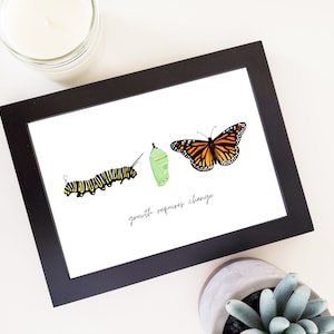 Growth Requires Change, Butterfly Cycle Inspirational Motivational ...