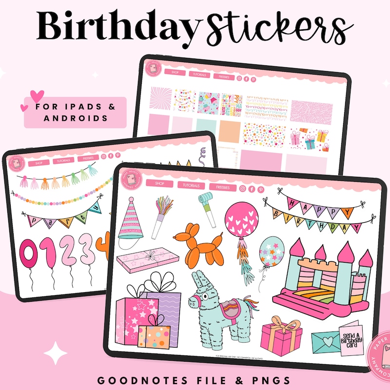 Birthday Planner Stickers - Etsy
