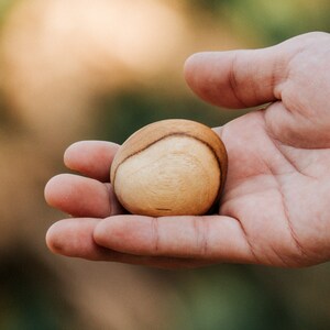 Wooden Pebble Stacking Toys, Natural Balancing Stones for Play and ...