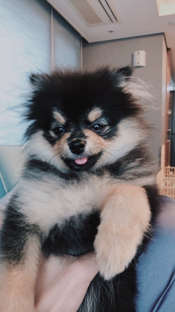 BTS X Yeontan Photocard Set - Etsy