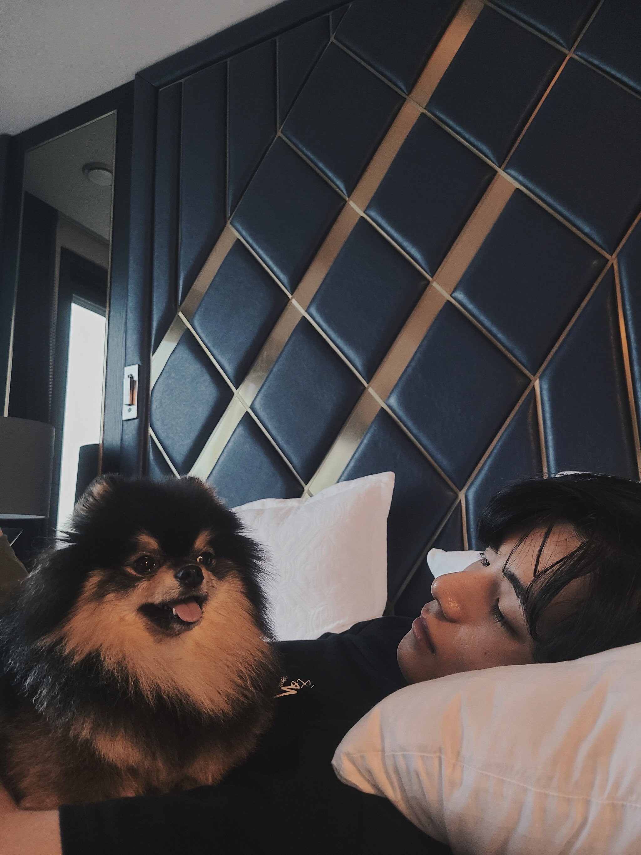 BTS X Yeontan Photocard Set | Etsy