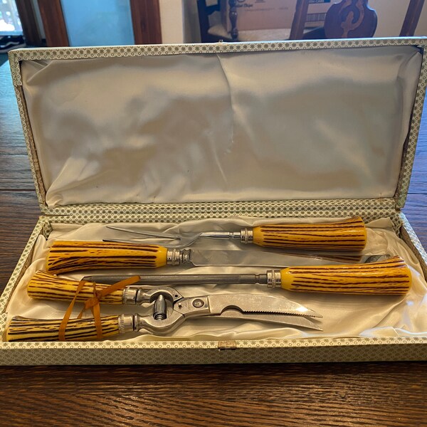 Kitchen Poultry Scissors Case - Etsy