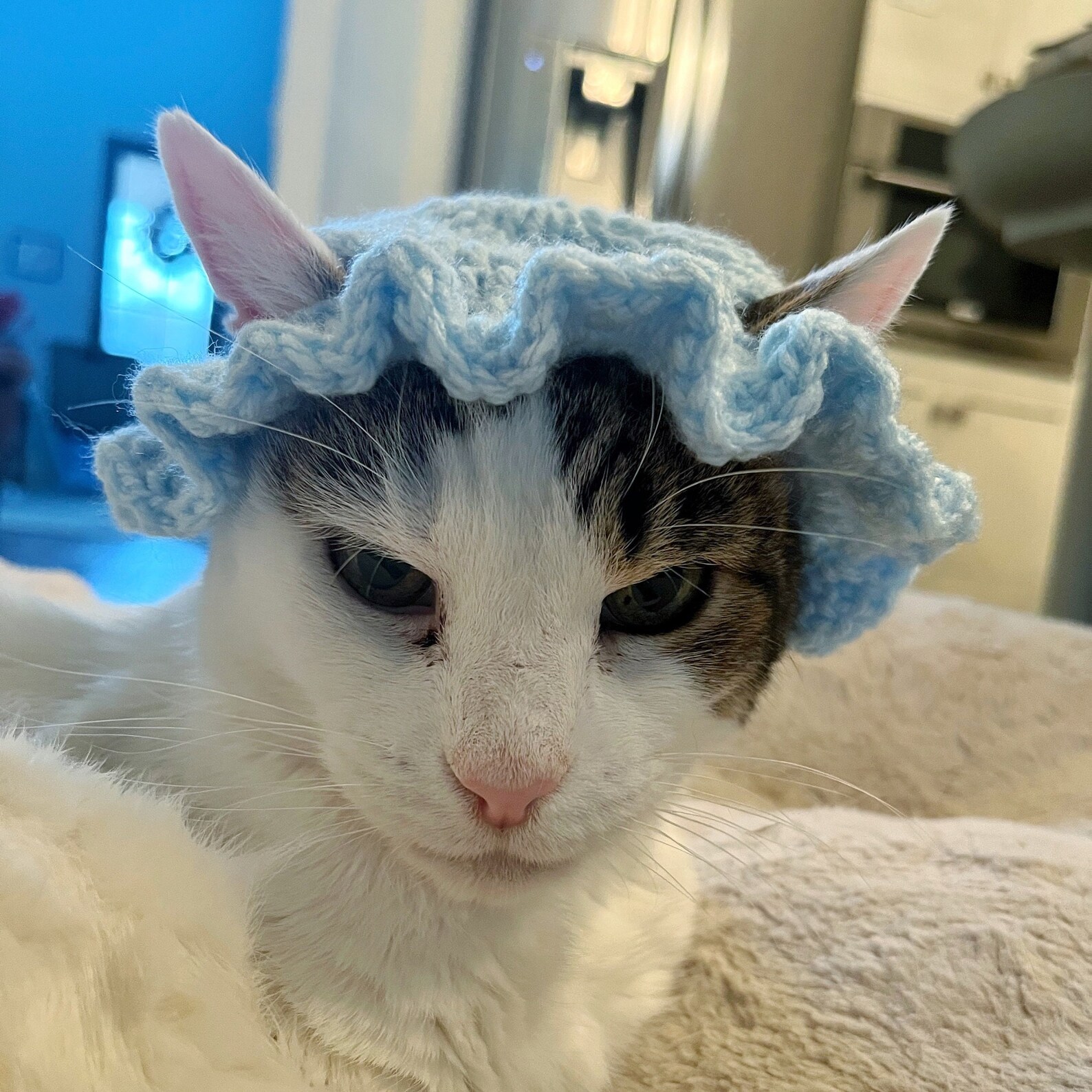 Crochet Ruffle Hat for Cats or Small Dogs Cat Hats, Crochet Hats ...