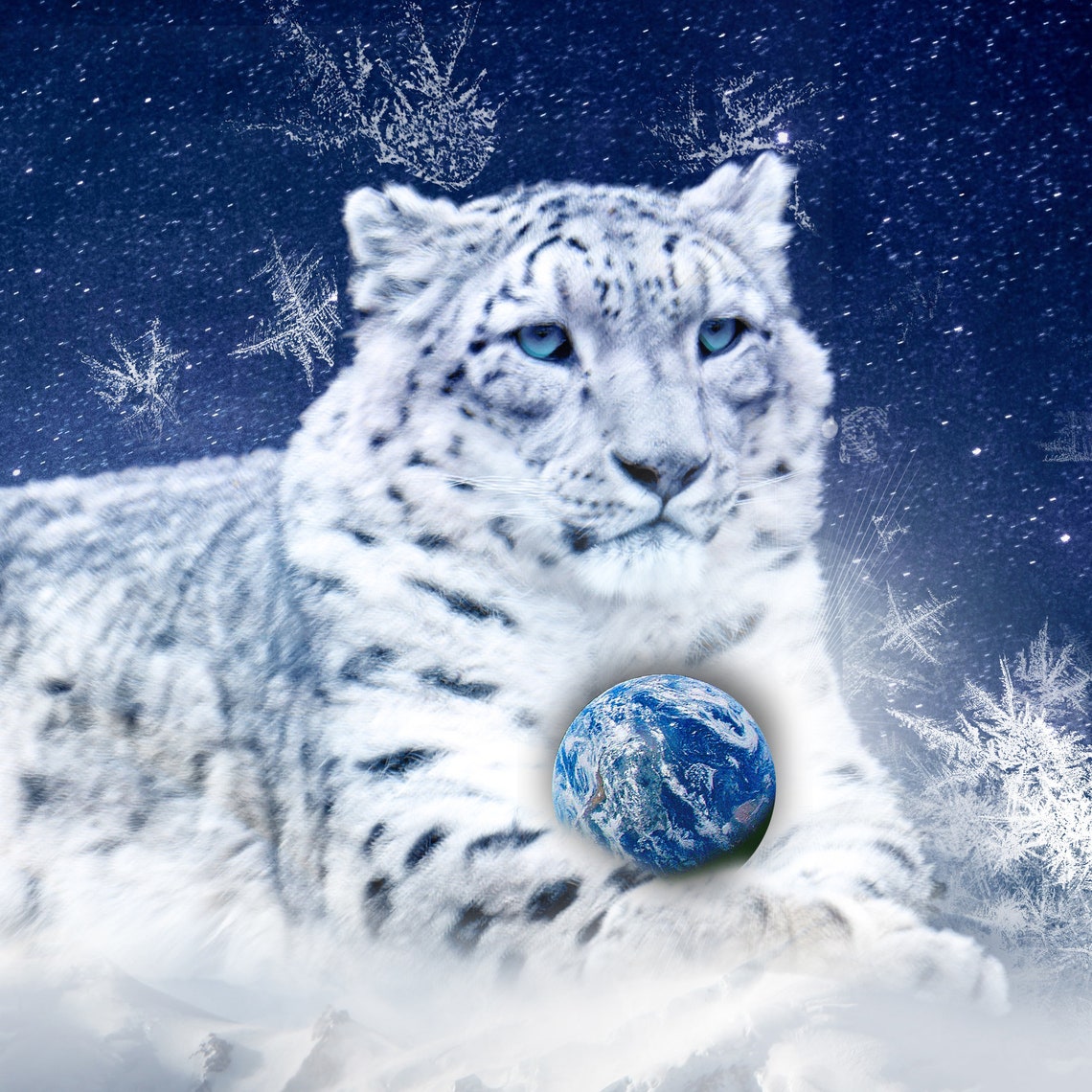 Snow Leopard - White Leopard, Endangered Species, Big Cat, Rare Leopard ...