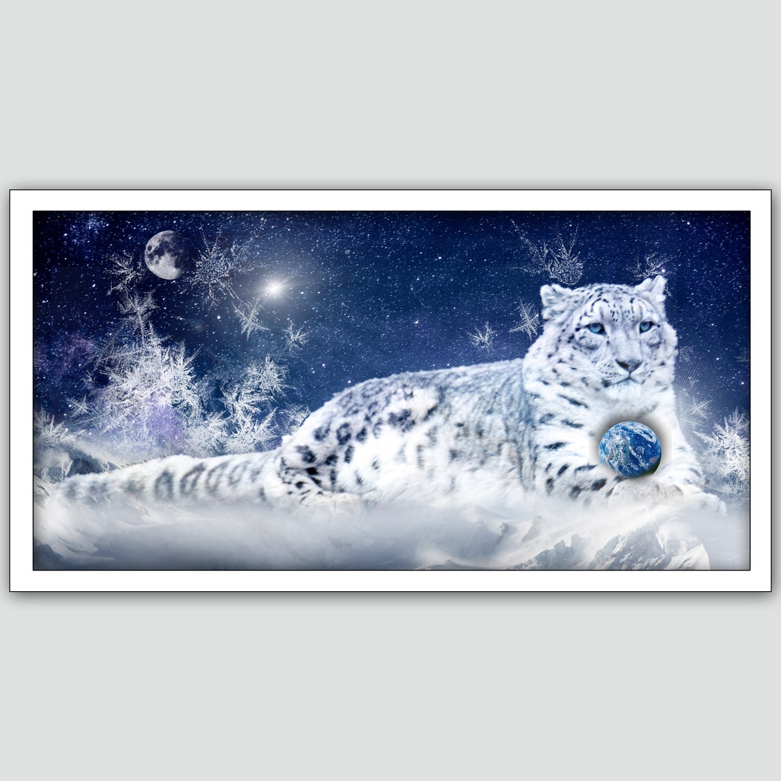 Snow Leopard - White Leopard, Endangered Species, Big Cat, Rare Leopard ...