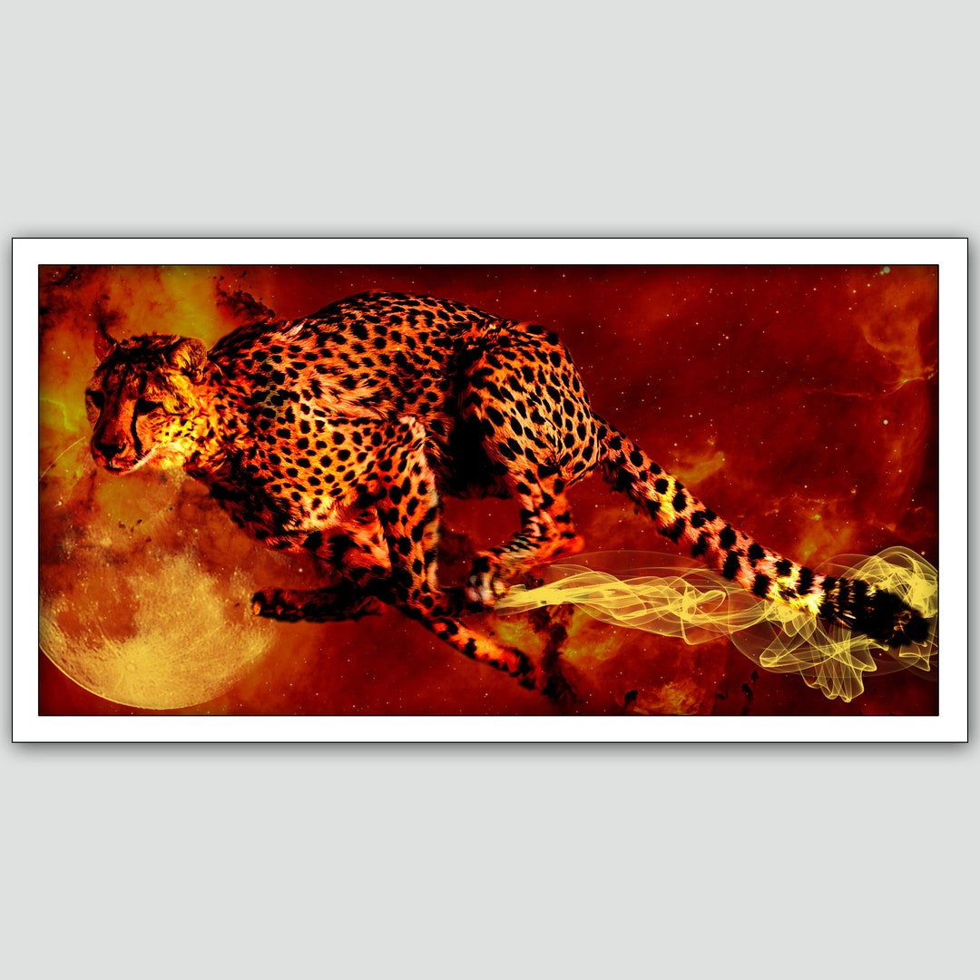Cheetah Firecat - Fine Art Limited Edition Giclee Print of Original ...