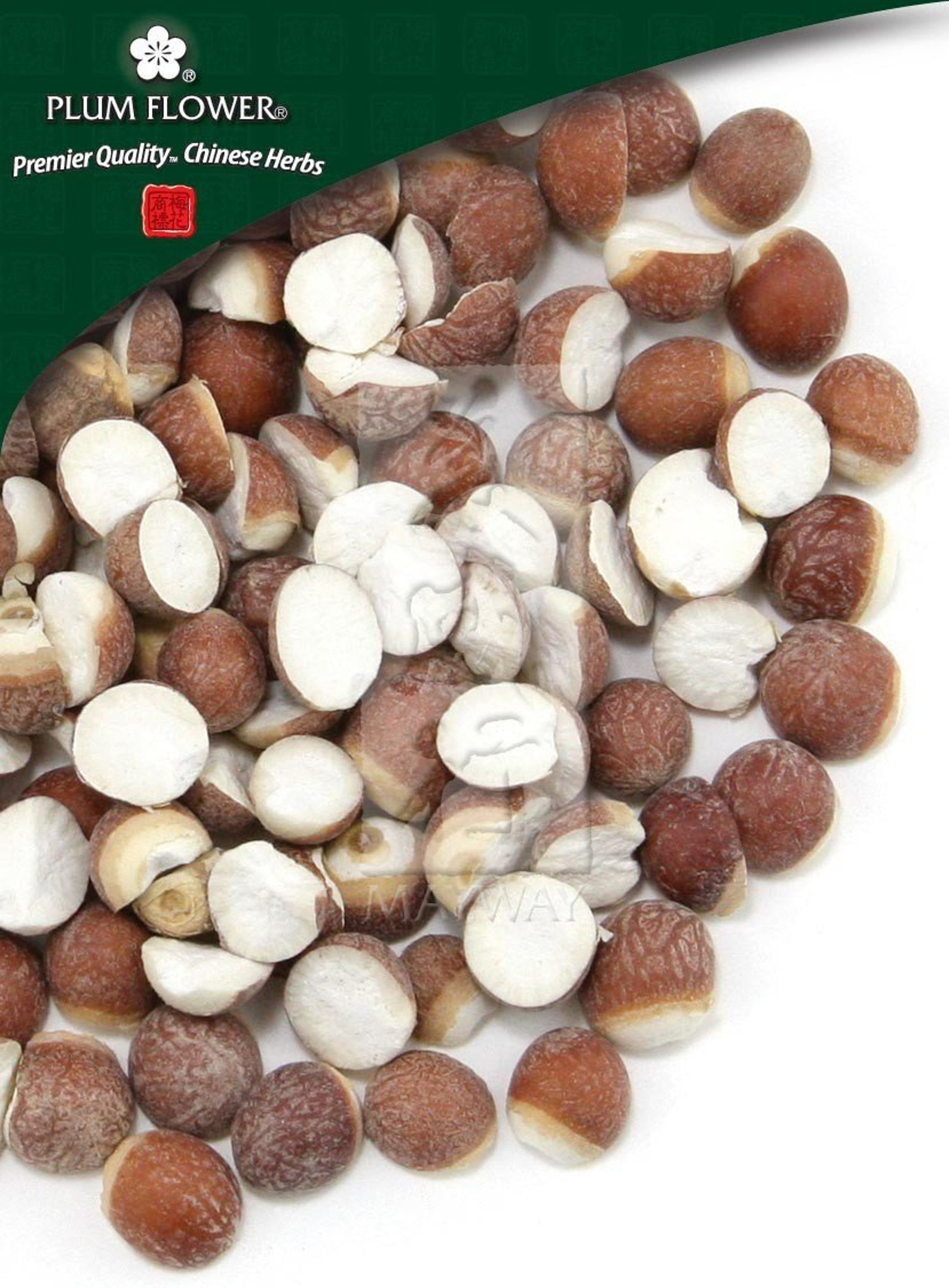 Qian Shi, Unsulfured Euryale Ferox Seed 500g/bag GMP Certified - Etsy UK