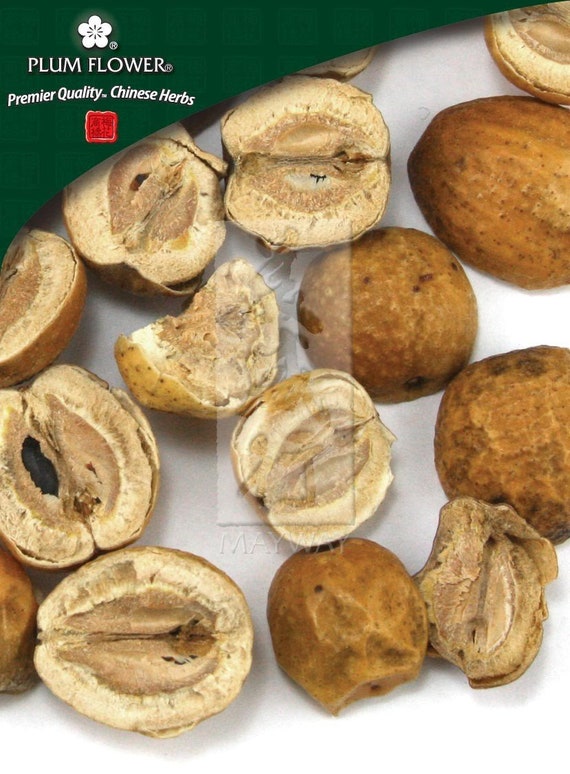 Chuan Lian Zi unsulfured Melia toosendan fruit 500g/bag GMP | Etsy