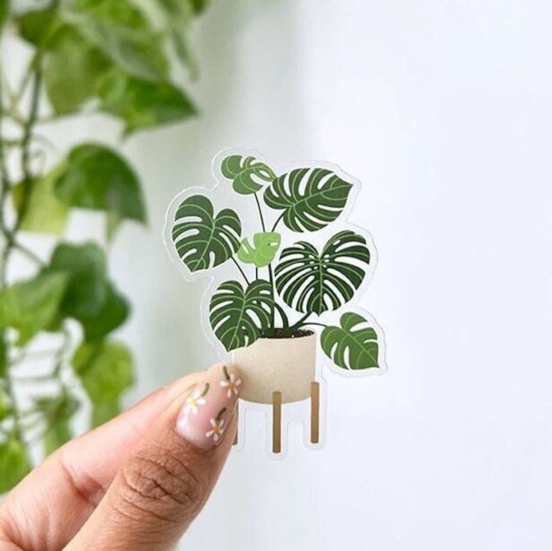 Clear Monstera Deliciosa Waterproof Sticker | Monstera Sticker | Plant ...