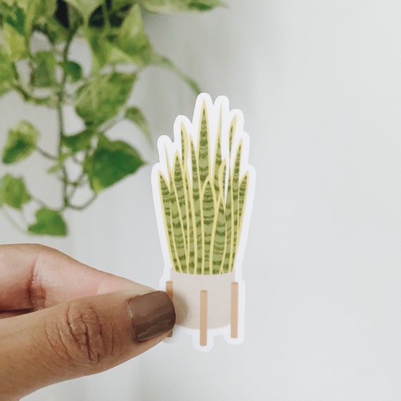 Snake Plant Waterproof Sticker Sansevieria Sticker Plant - Etsy