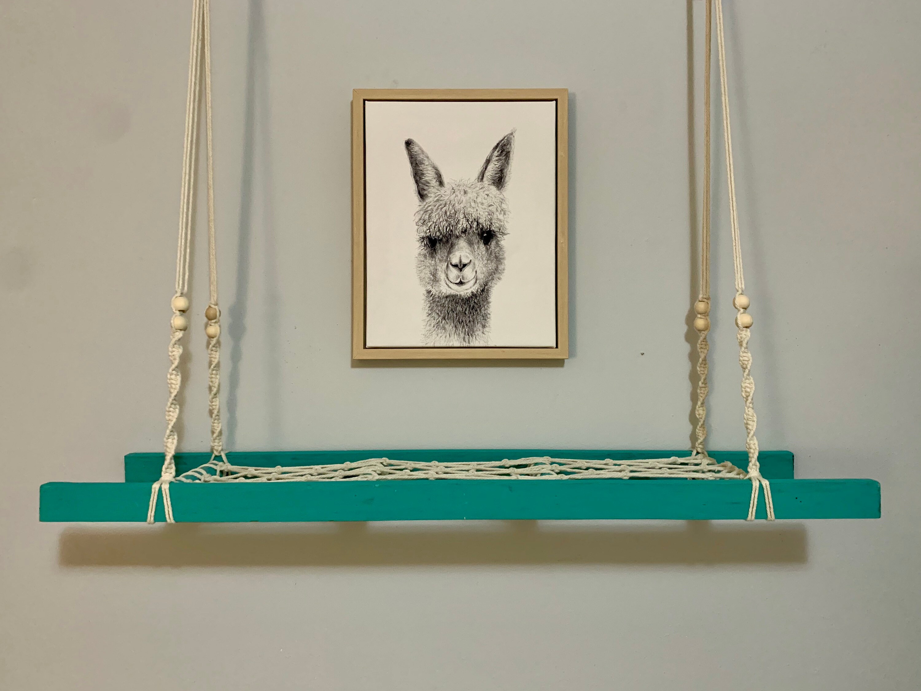 Custom Hanging Macrame Ladder Shelf - Etsy