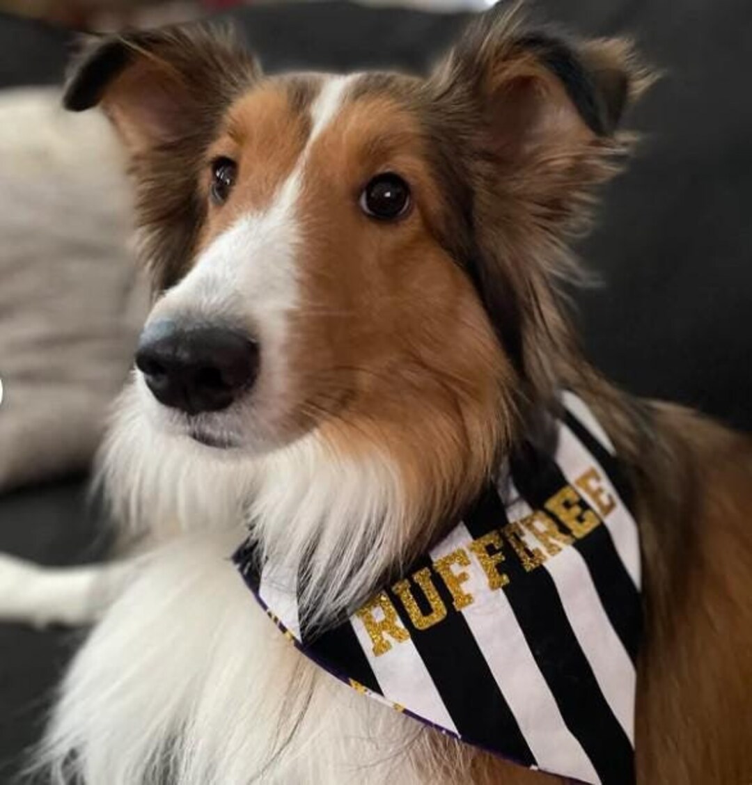 Football Dog Bandana Handmade Reversible Dog Bandana Referee Dog ...