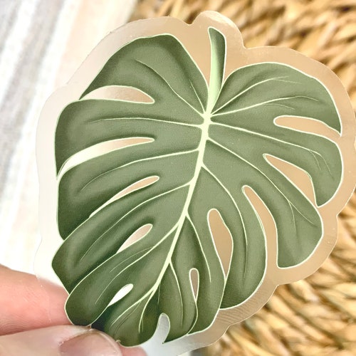 Monstera Stickers Vinyl Laptop Sticker Pack Vintage Decal - Etsy