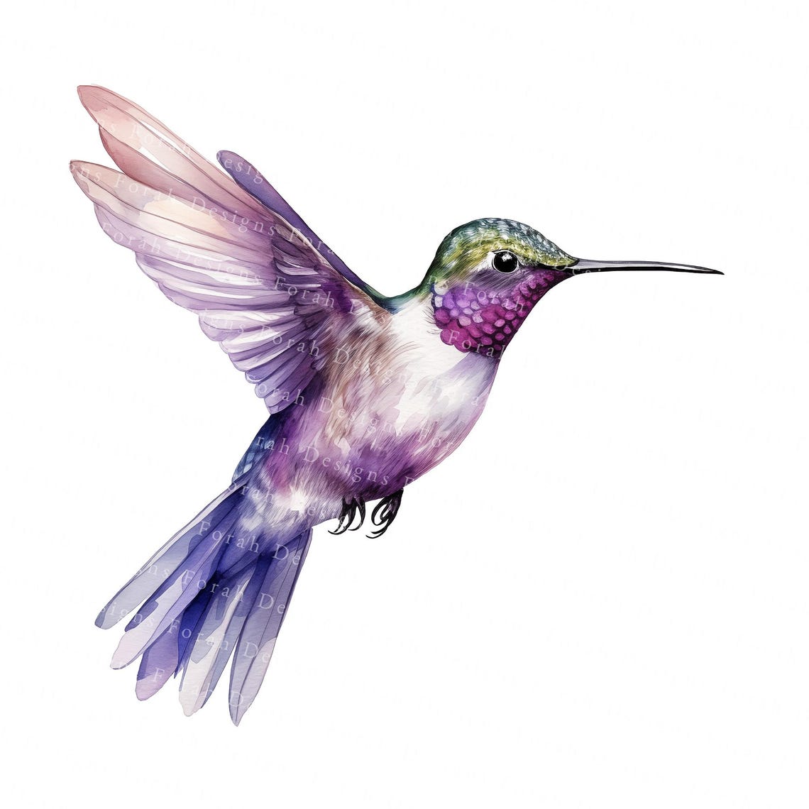 8 Watercolor Hummingbird Clipart, PNG Files, Watercolor Birds Clipart ...