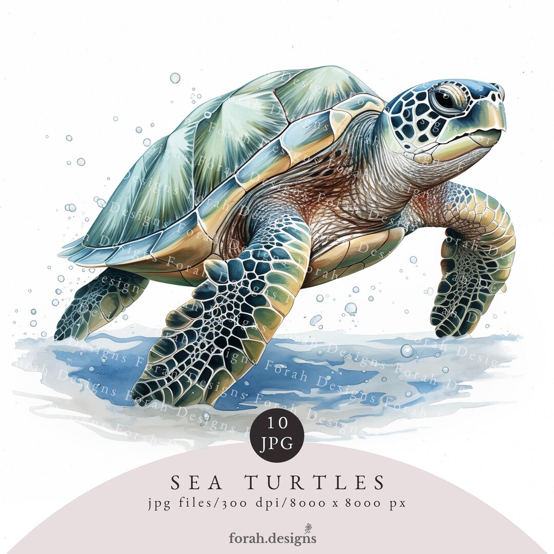 10 Watercolor Sea Turtle Clipart, JPG Files, Watercolor Sea Turtle ...