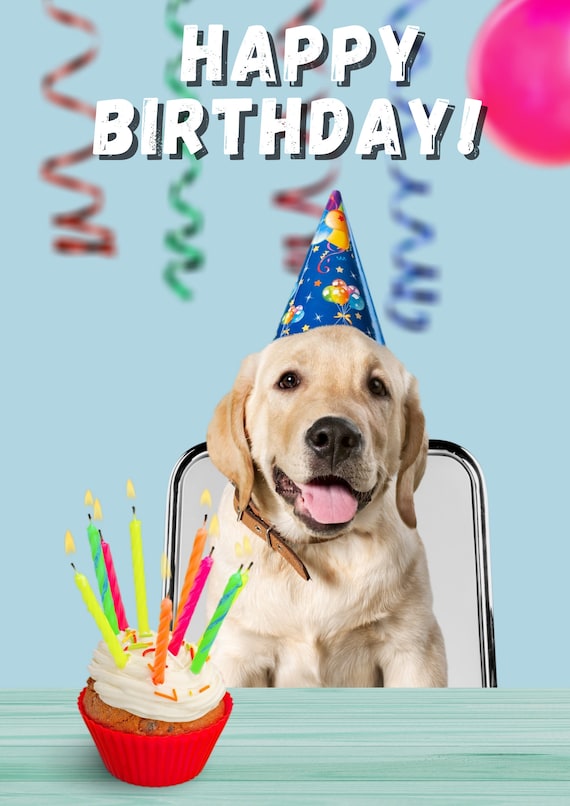 Happy Birthday Yellow Lab