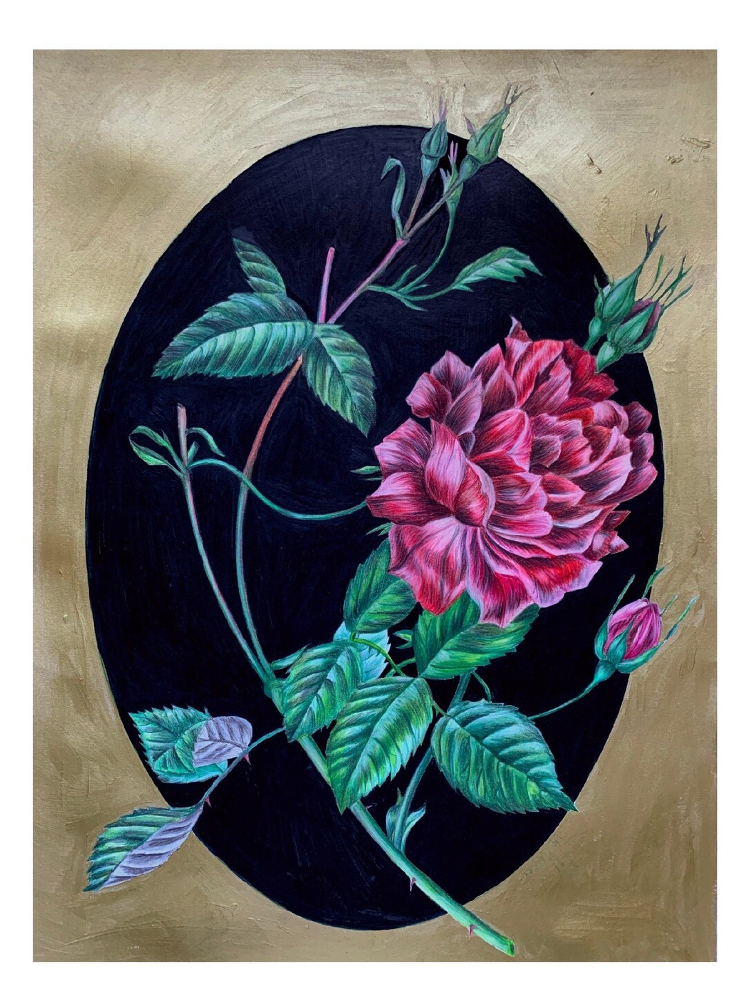 Botanical Drawing of a Flower - Etsy