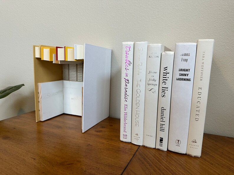 Undercover Complete Book Hidden Storage Solution for Hiding - Etsy